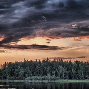 Forest Sunset | DPReview Forums