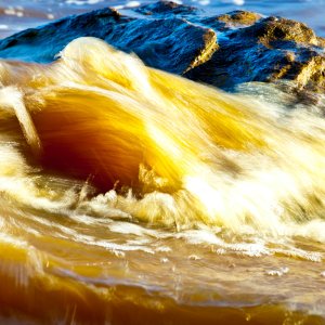 boreen-point | DPReview Forums