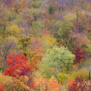 Landscapes-46 | DPReview Forums