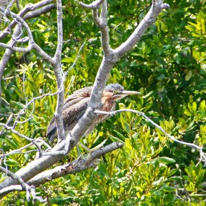 2011-ocean-city-md | DPReview Forums