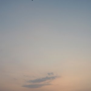 paragliding | DPReview Forums