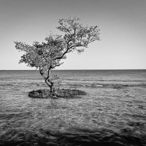 film-max7-lisas-keys | DPReview Forums