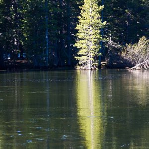 Hwy 12 HDR 02-1_2_3Enhancer | DPReview Forums