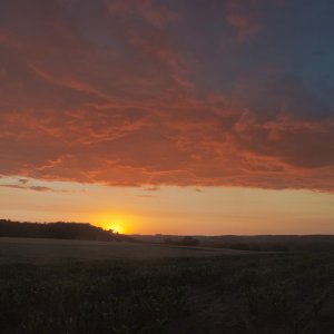 horst | DPReview Forums