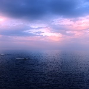 quietness | DPReview Forums