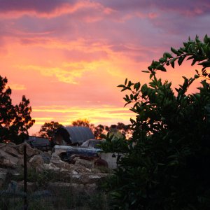 todds-camera-stuff | DPReview Forums