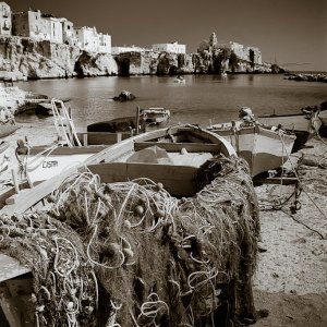 vieste | DPReview Forums