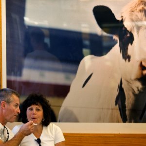 state-fair | DPReview Forums