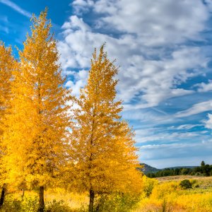 Hwy 12 HDR 02-1_2_3Enhancer | DPReview Forums