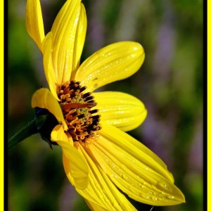 P1040045-2 | DPReview Forums