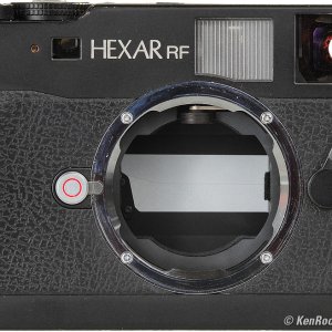 D3S_0106-1200 | DPReview Forums