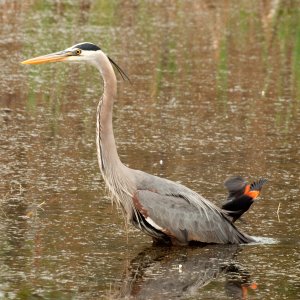 _3257612_edited-1 | DPReview Forums