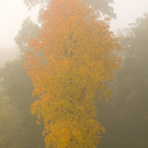 paysage_1 | DPReview Forums