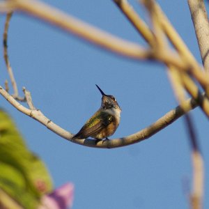 autumn-sunset | DPReview Forums