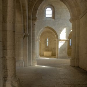 silvacannes | DPReview Forums