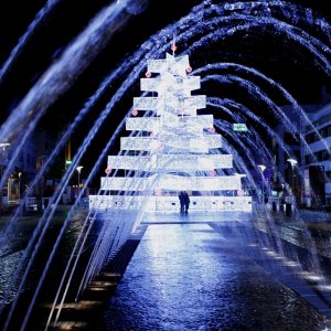 natal behance | DPReview Forums