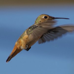 autumn-sunset | DPReview Forums