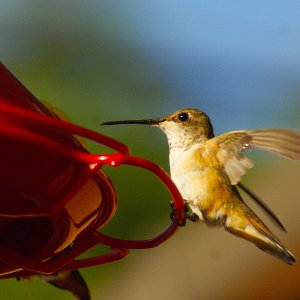 autumn-sunset | DPReview Forums