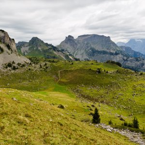 suia | DPReview Forums