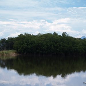 chiquimulilla | DPReview Forums