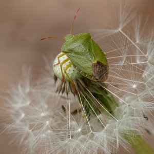 esko | DPReview Forums