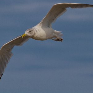 2011_USA_00261 | DPReview Forums