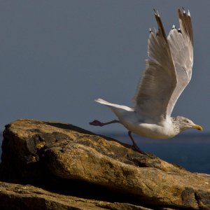 2011_USA_00261 | DPReview Forums