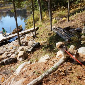 dock | DPReview Forums