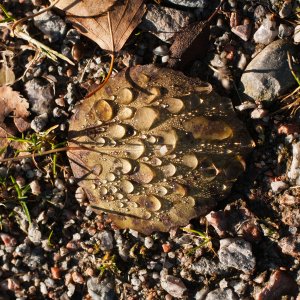 nikon-d-90 | DPReview Forums