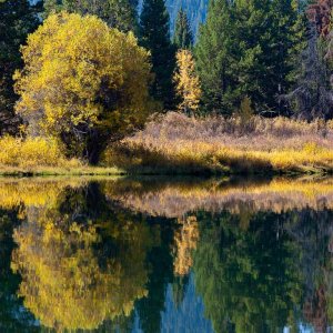 Oxbow bend #2 | DPReview Forums