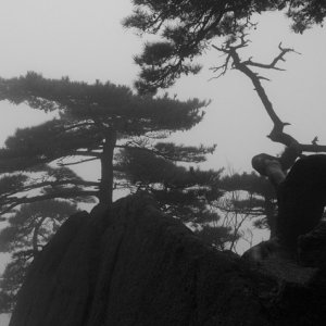 yellow-mountains | DPReview Forums