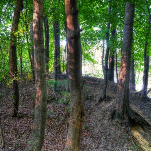 dmc-g3 | DPReview Forums