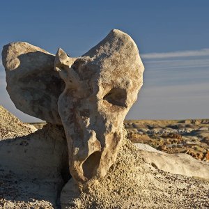 da-17-70 | DPReview Forums