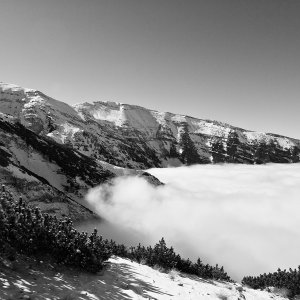 murelle-25bw | DPReview Forums