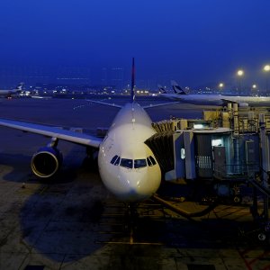 2011_11_13 06_16_40 G3 14-42mm P1020620 | DPReview Forums