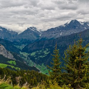 suia | DPReview Forums