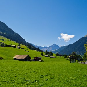 suia | DPReview Forums