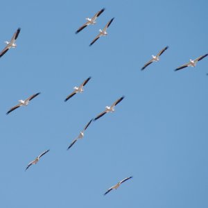 tioga-road | DPReview Forums