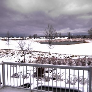 ppg-- | DPReview Forums