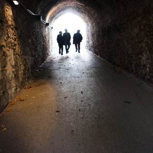 Shadows and Presences | DPReview Forums