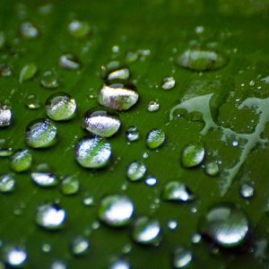 sunshowers | DPReview Forums