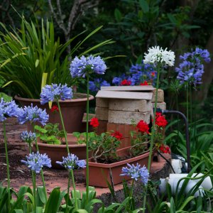 g-90 | DPReview Forums