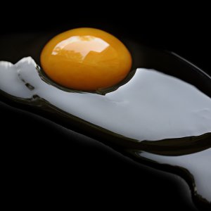 Sunny_Side_Up | DPReview Forums