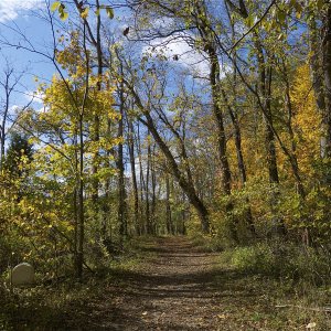 path | DPReview Forums