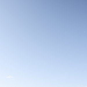 copaci | DPReview Forums