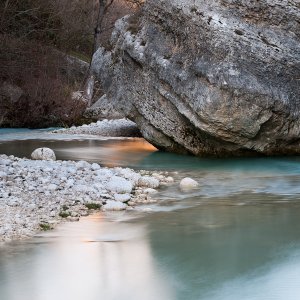 45mm-macro | DPReview Forums