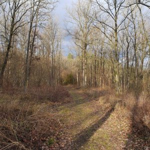 SAM_3983u | DPReview Forums