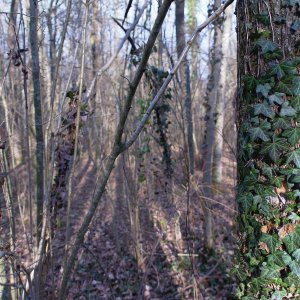 SAM_3979u | DPReview Forums