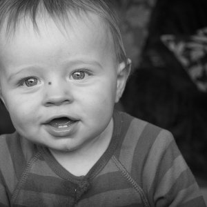 theo b&w | DPReview Forums