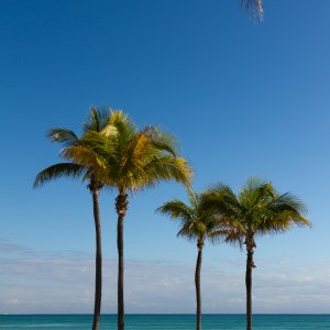 2011-florida | DPReview Forums